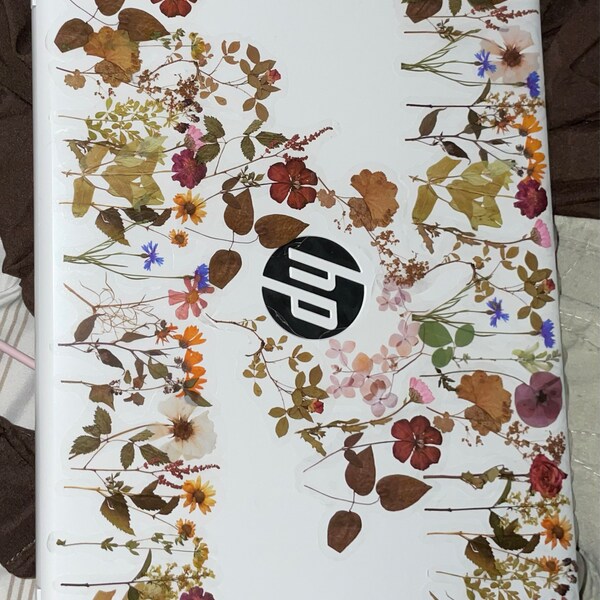 Dried Flowers Sticker Set, Pressed Wildflowers Stickers, Wild Flower ...