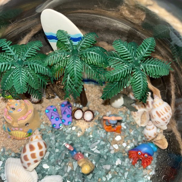 Miniature Coconuts, Miniature Palm Tree, Miniature Beach Garden ...