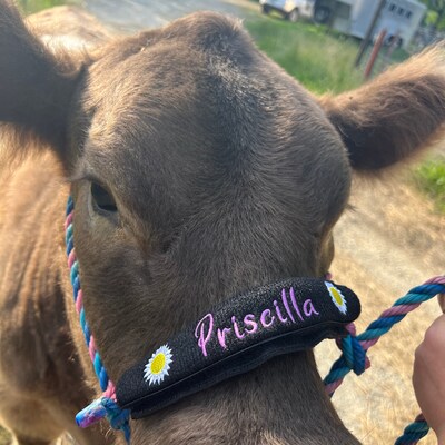 Custom Cattle Embroidered Sweatshirt, Custom Farm Logo Hoodie ...