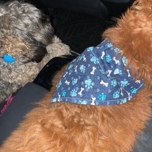 Concha Dog Squeaky Toy Concha Toy Mexican Sweet Bread Toy | Etsy