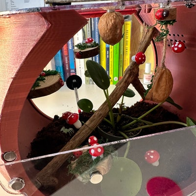 Jumping Spider Sign Post Spooder Lives Here, Spider Hideout Accessories ...