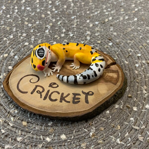 Rock Climbing Animal Stickers Set of 6 Decal Climb Climber Gift ...