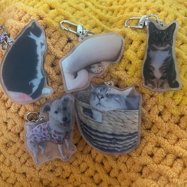 Custom Cat Keychain, Dog Keychain, Pet Keychain, Personalized Pet Photo ...