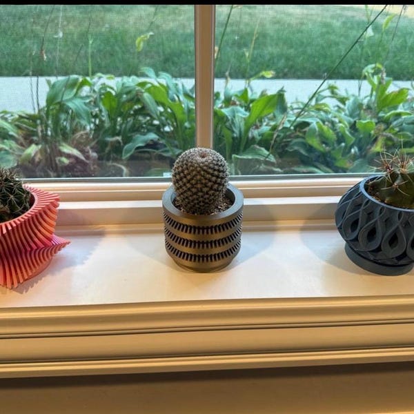 A “ANIO” 3D Custom Printed Wacky Planter Pot | Modern Home Office Decor ...