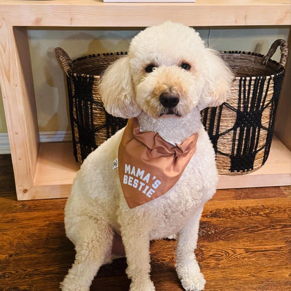 Dog Bandana Holder, Pet Bandana Organizer, Dog Clothing Organizer, Dog ...