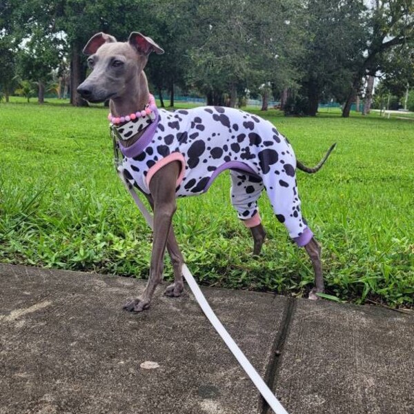 Custom Handmade Outfit by Me. Curly Faux Lambs Wool. Available in Two ...