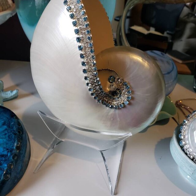 Seashells & Swarovski Bling Decor by ShellDecor on Etsy