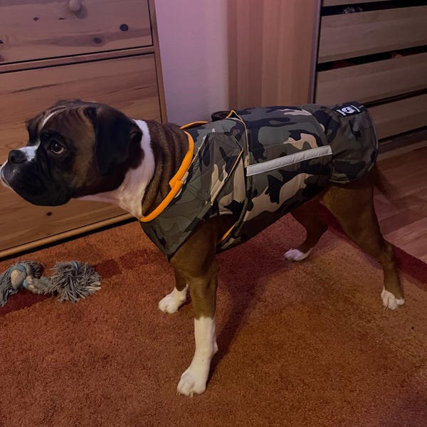 Great Dane Extra Warm Winter Dog Coat - Dog Jacket With Underbelly ...