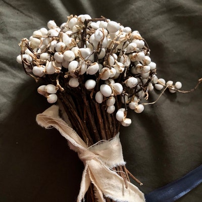 Dried Long Stem Tallow Berry Bundle Tallowberries Natural Decor Antique ...