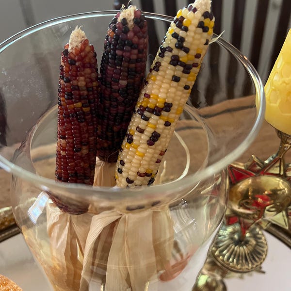 Mini Indian Corn, 4" to 5" Length, 5, 10, 20, 30, 40 and 50 Count, FREE ...