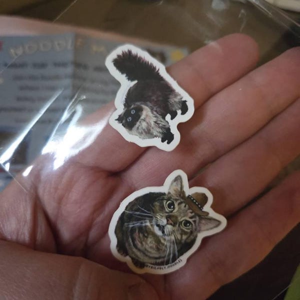 Meme Cat 8x8" Print, Funny, Scary Story, Rebecca Salinas Art, Friendly ...