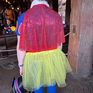 Daisy Duck Running Costume, Daisy Duck Costume, Fairy Tale Shirt, Daisy ...