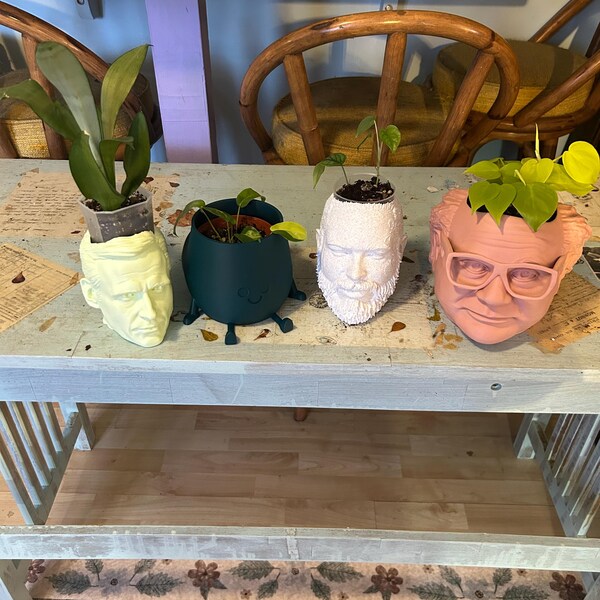 Horror Movie Planters for House Plants and Succulents - Etsy