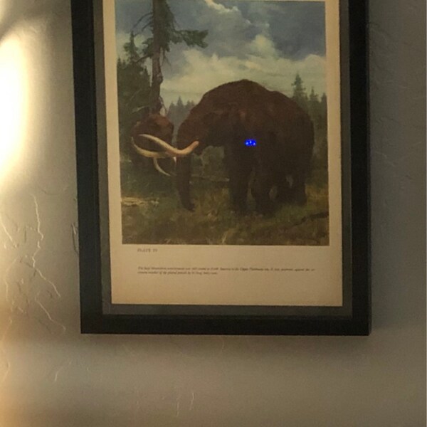 1954 "tyrannosaurus" by William Scheele in Black Custom 11x14 Mat ...