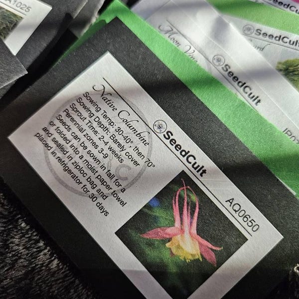 Native Wild Columbine Seeds, Flowering Shade Perennial, Aquilegia ...
