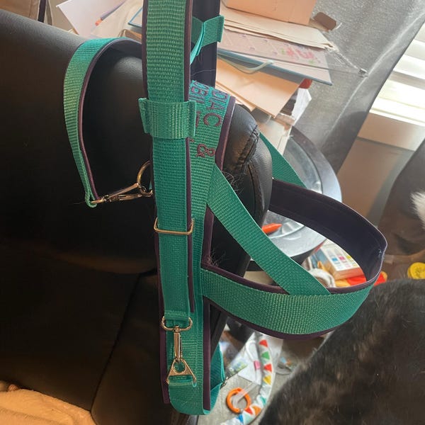 Cape Tab Custom Attaches to Dog Harness - Etsy
