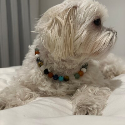 Anti Tick Collar for Dog, Em Ceramic, Sodalite and Tiger's Eye ...