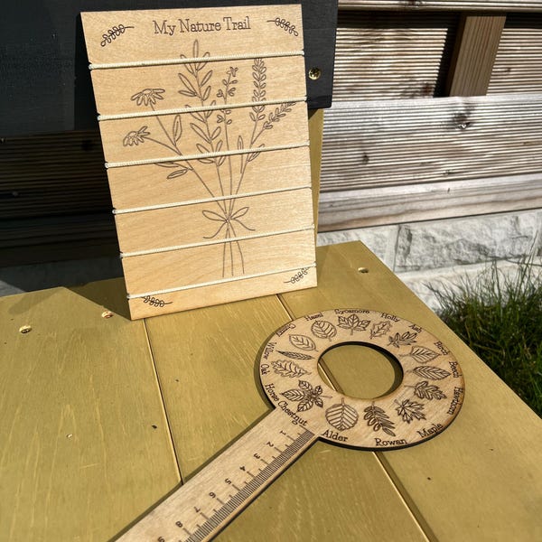 Ladybird Life Cycle, Birthdaygift, Forest School, Primary, EYFS ...