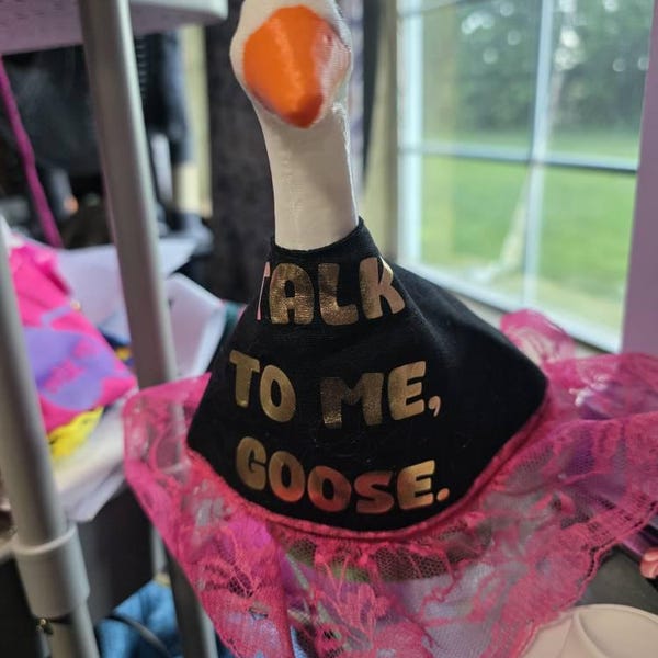Porch Goose Mess With the Honk - Etsy
