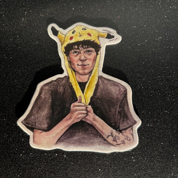 Sturniolo Triplets: Nick, Matt, & Chris Sturniolo Vinyl Stickers - Etsy