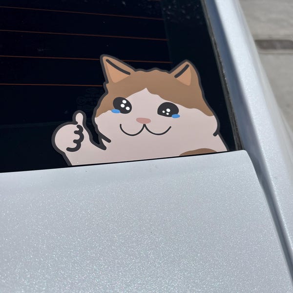 Crying Cat Peeker Vinyl Sticker - Car Window Meme Decal - Etsy