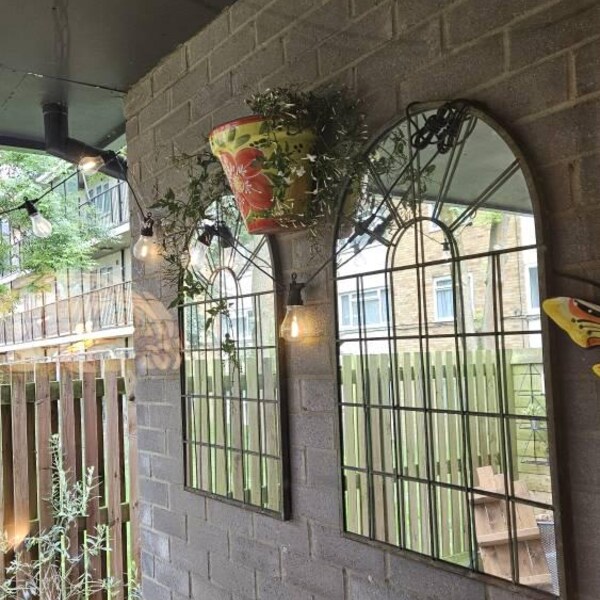 Philodendron Scandens Brasil the Yellow Stripy Lovable Philodendrons 3 ...