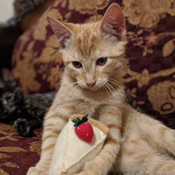 Cheesecake Slice Topped With Strawberry Catnip Cat Toy - Etsy