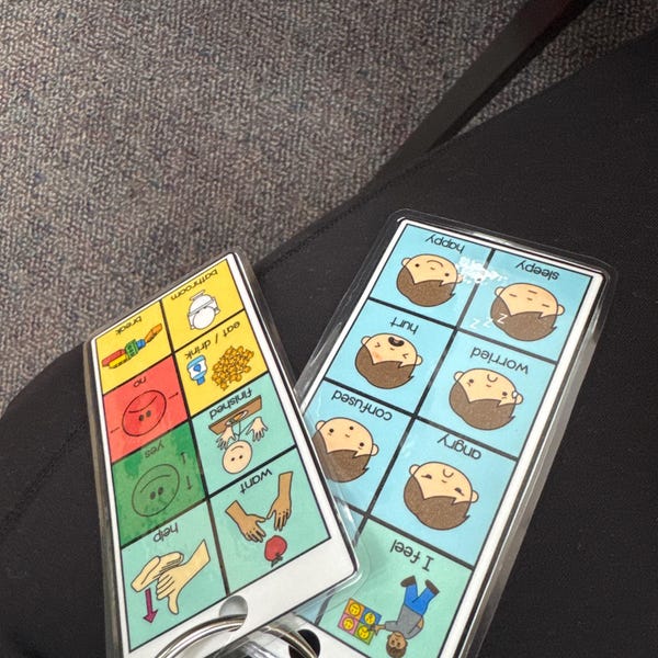 IEP Skills Binder, Printable IEP Goal Assessments, Basic Skills ...