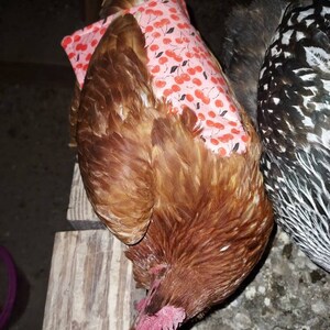 Mermaid Chicken Tutu | Etsy