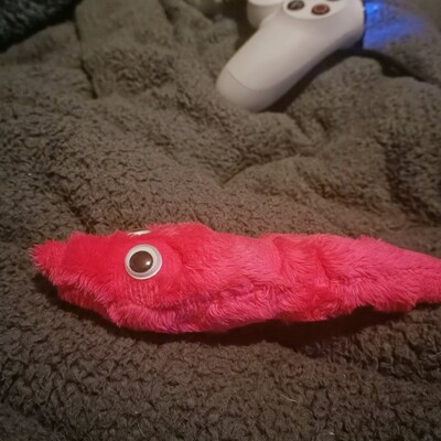 Worm on a String Keychain Custom Made - Etsy