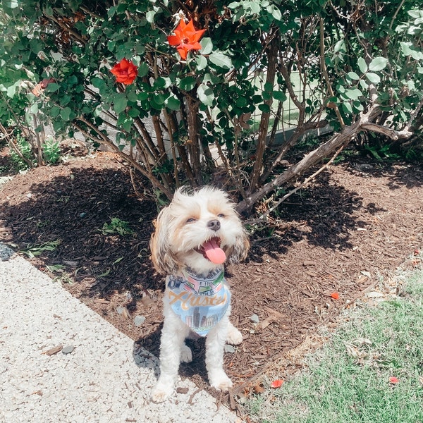 Monster Patches, Red Monster Patch, Birthday Patch, First Birthday ...