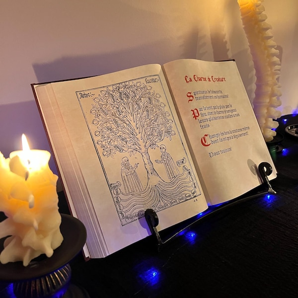 Da Rules Book (from Fairly Odd Parents) - Etsy