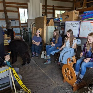 Woolhouse Tools 8-shaft Norah Table Loom 16 Weaving Width - Etsy