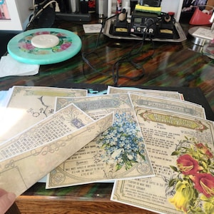 6 Different Antique Garden Roses Seed Packets DIGITAL Sheet | Etsy