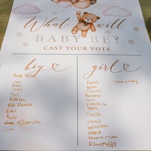 Boy or Girl Chart What Will Baby Be He or She Gender Reveal Teddy Bear ...