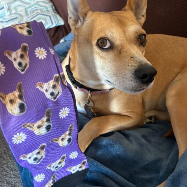 Custom Pet Socks, Customized Socks With Any Photos and Text ...