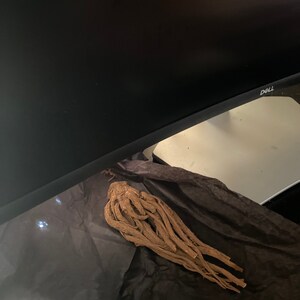 Master Root Oil A Hoodoo Traditional Oil for Mastery Over - Etsy