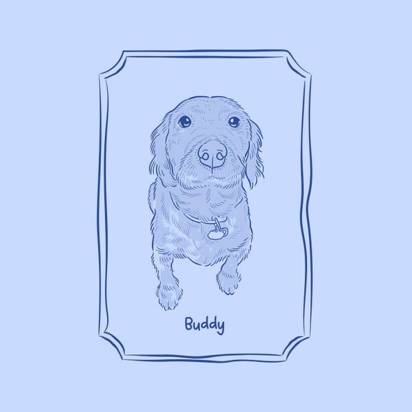 Custom Funky Pet Portrait, Cute Digital Cat Poster, Custom Badly Drawn ...