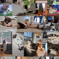 School Class Photo Collage, Year End Collage Gift for Teacher ...