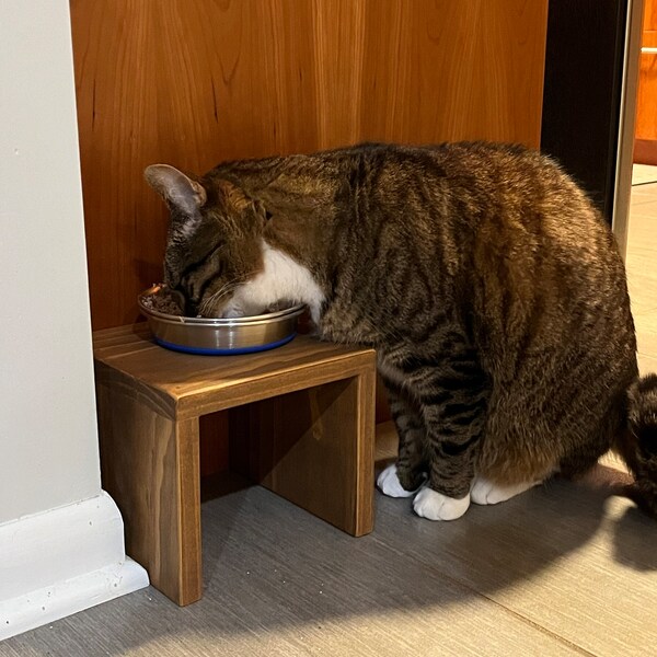 Farmhouse Cat Food Tray | Elevated Feeding Station - Etsy