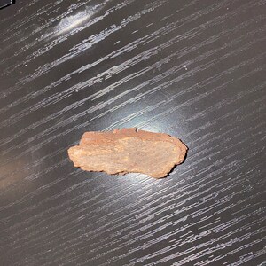 Igi Iroko Tree Bark - Etsy