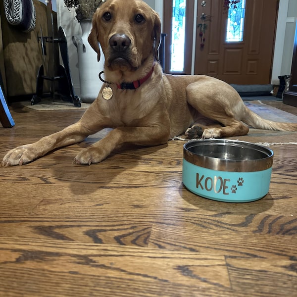 Custom Dog Bowl,personalized Dog Food Bowl With Name,dog Food/water ...