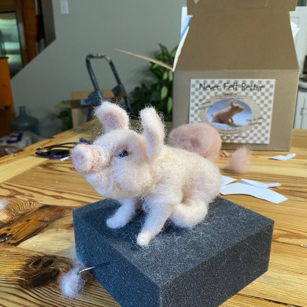 Pig Needle Felting Kit - Etsy