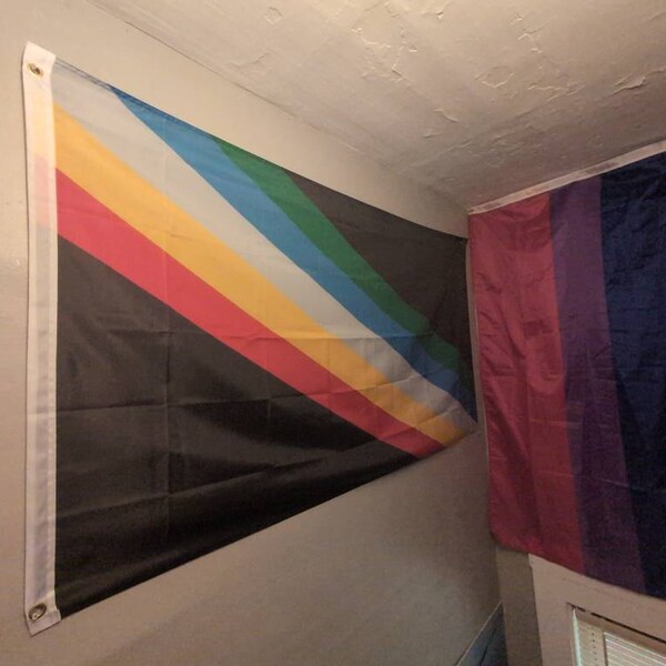 DIGITAL FILE: Printable Extended Pride Flag Reference Guide Includes ...