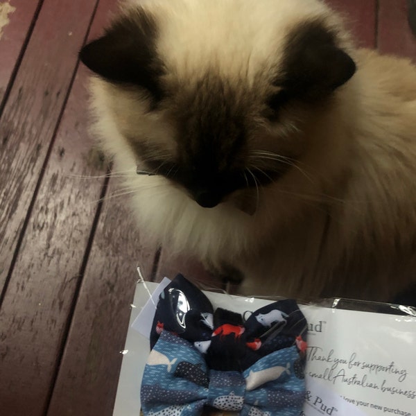 Audrey Dog ID Tag Silver/aqua - Etsy