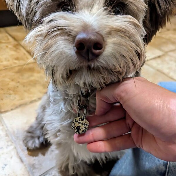 Mini Dog Tag for Dogs, the Bean, Dog Tag, Kidney Bean, Personalized ...