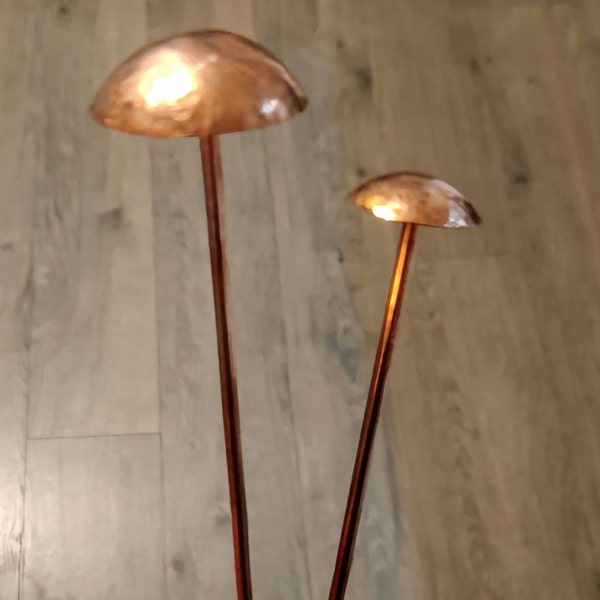 Electro Culture Rods for Plants, Copper Electroculture Garden Stake ...