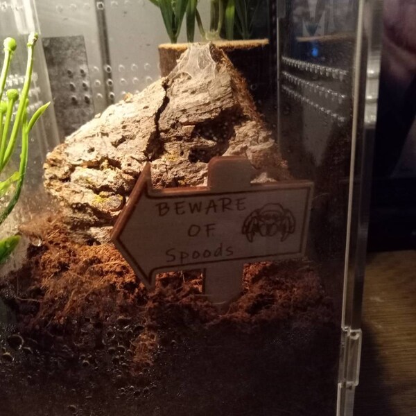 Scorpion Warning Signs 3 to Choose From - Etsy