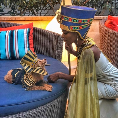 Dog Cleopatra Halloween Costume, Cleopatra Dog Costume, Puppy Cleopatra ...