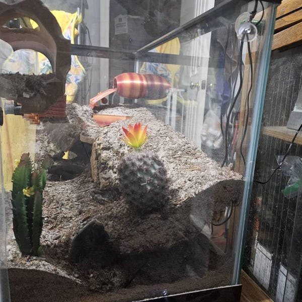 Spacious Corner Aquarium Terrarium Cave – Elevated Hideout for Fish ...